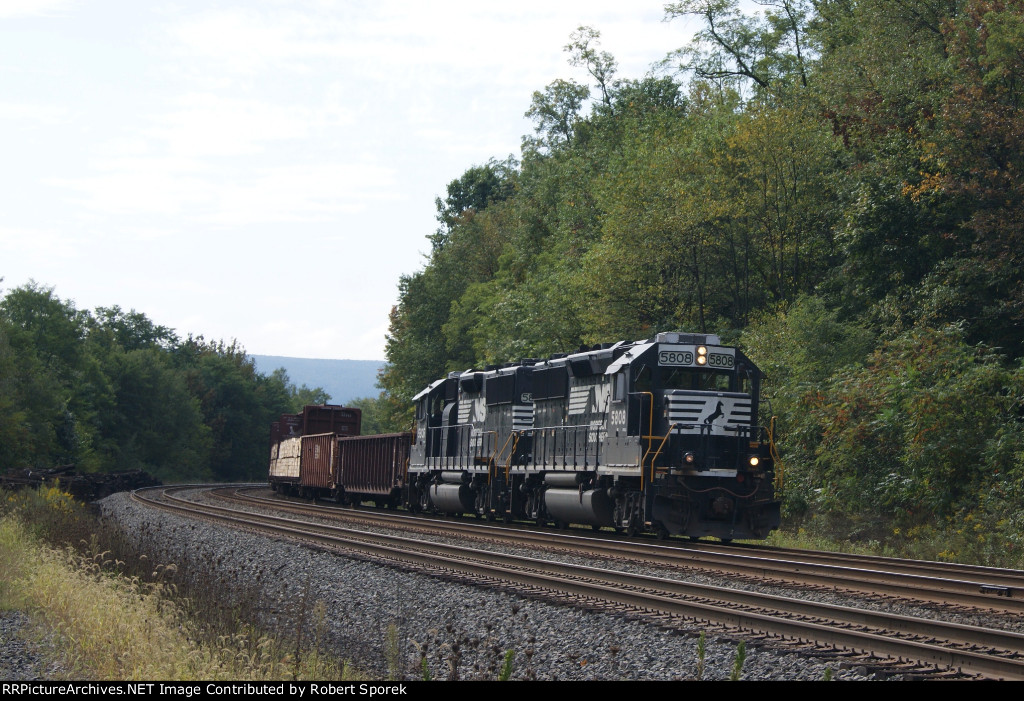 NS C42 with GP38-3s